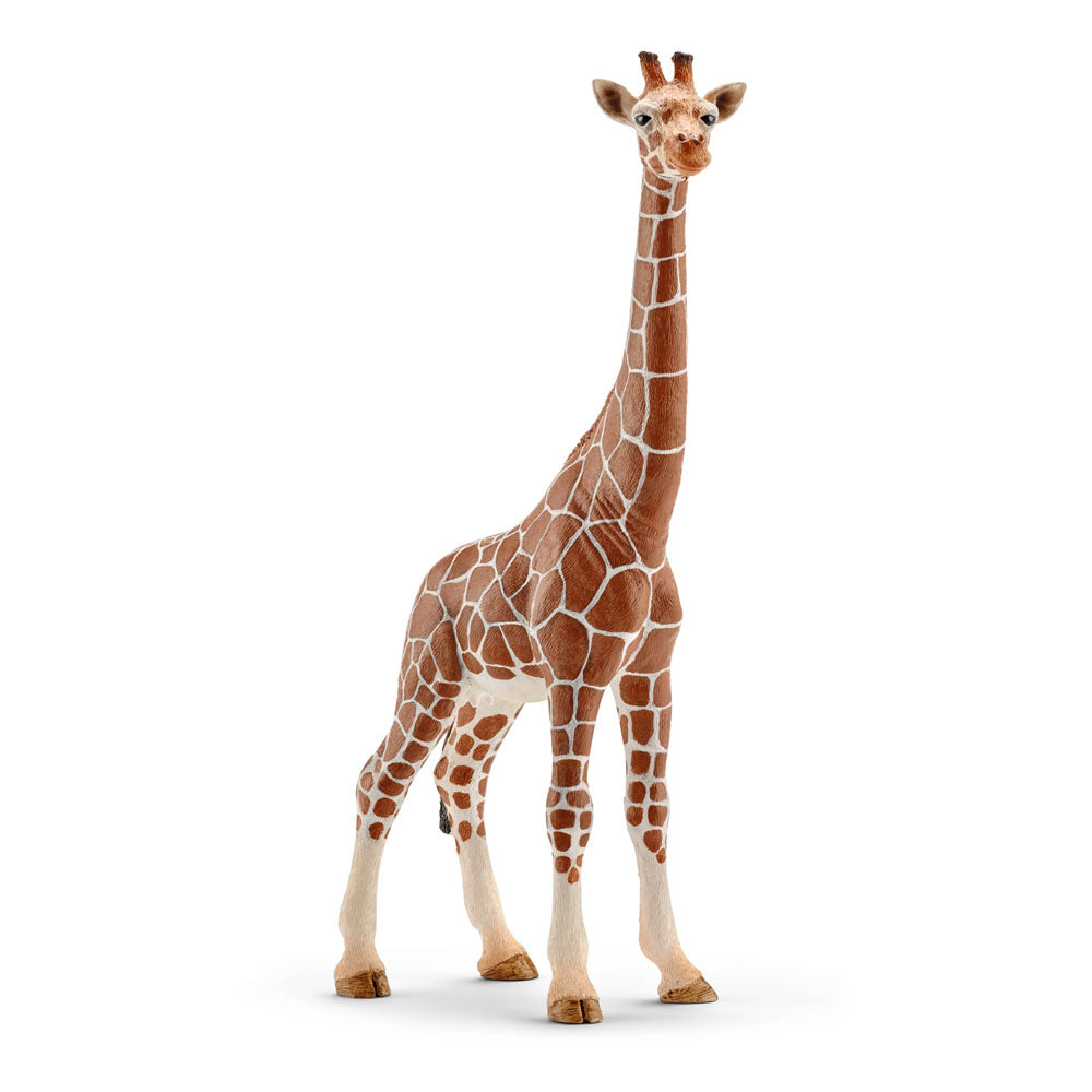 SCHLEICH Wild Life Female Giraffe Toy Figure (14750) – MyToyBox