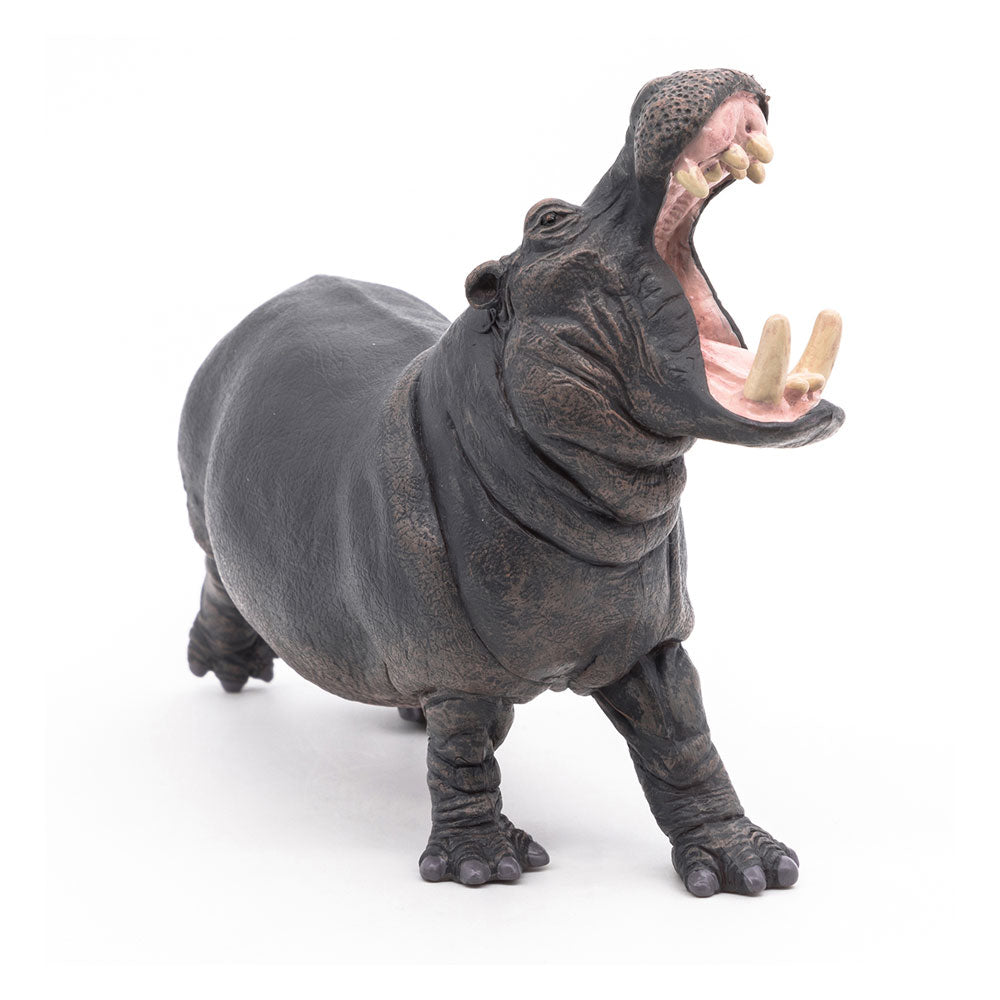 PAPO Wild Animal Kingdom Hippopotamus Toy Figure, Three Years or Above ...