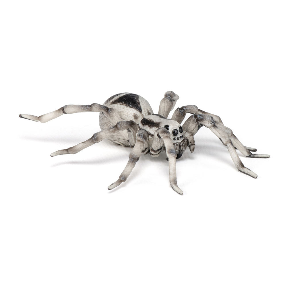 PAPO Wild Animal Kingdom Tarantula Toy Figure, Three Years or Above, M ...