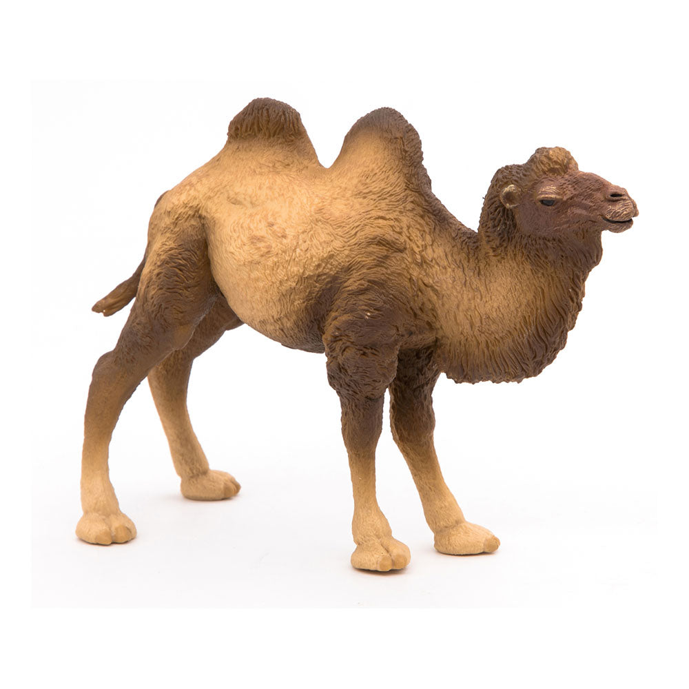 PAPO Wild Animal Kingdom Bactrian Camel Toy Figure, Three Years or Abo ...