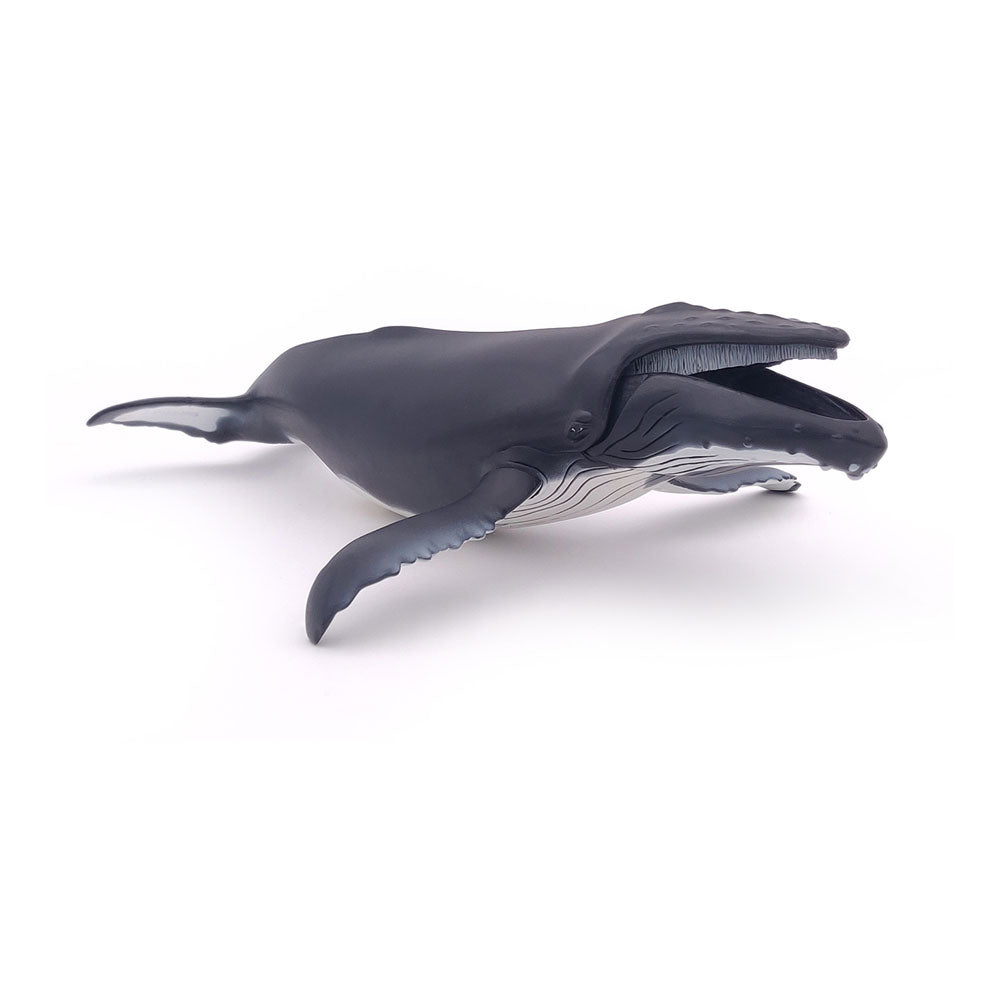 PAPO Marine Life Humpback Whale Toy Figure (56001) – MyToyBox