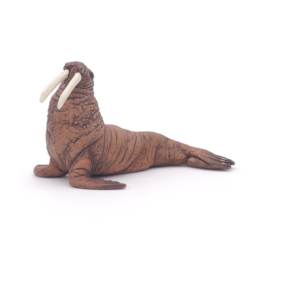 PAPO Marine Life Walrus Toy Figure (56030) – MyToyBox